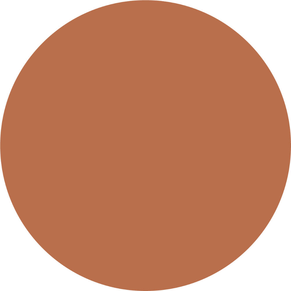 Color - Identity - Grand Valley State University